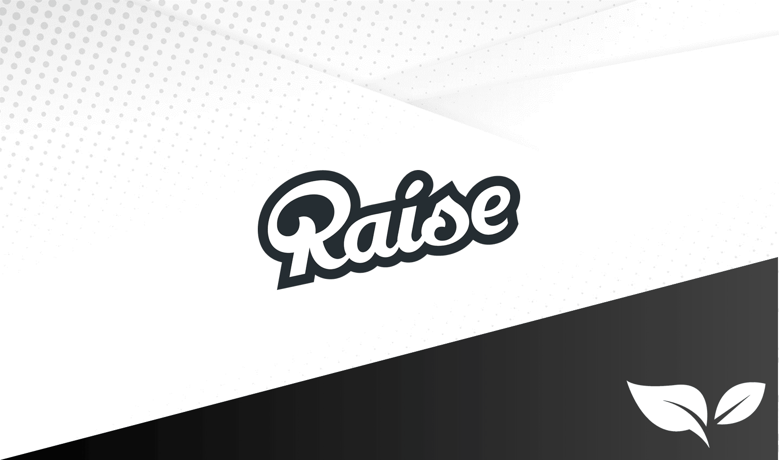 Raise Review 2023 Pros Cons And How It Works